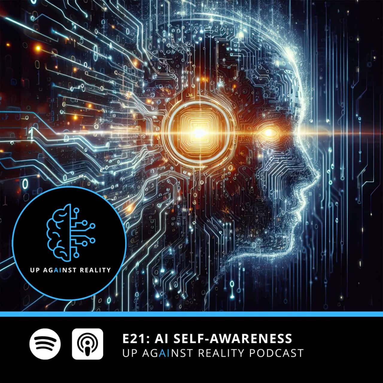 AI Self-Awareness – Up Against Reality